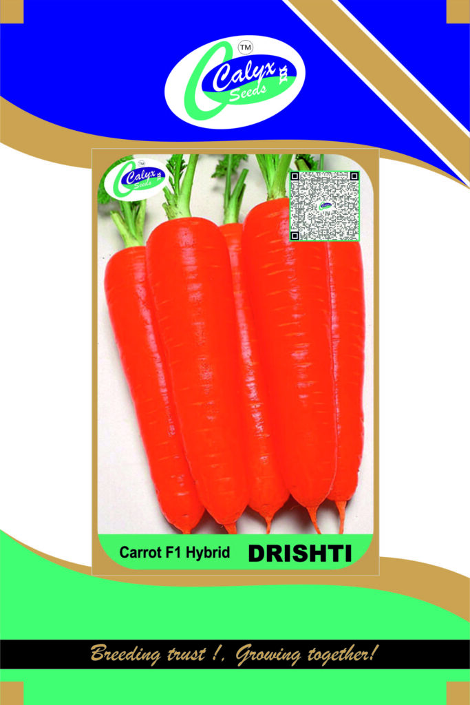 Carrot F1 Hybrid: DRISHTI – Calyx Seeds